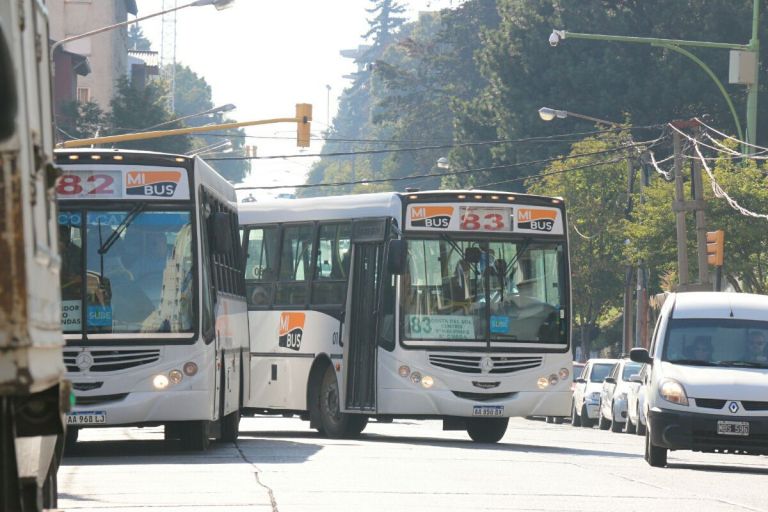 Estos son los colectivos del grupo Semisa que ya empezaron a funcionar ...